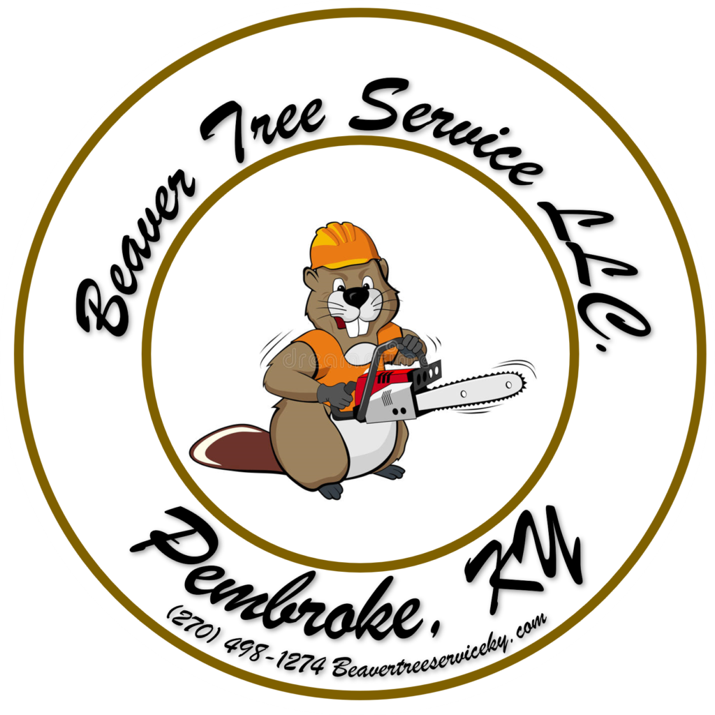 Beaver Tree Service – Expertise, Integrity, and Safety
